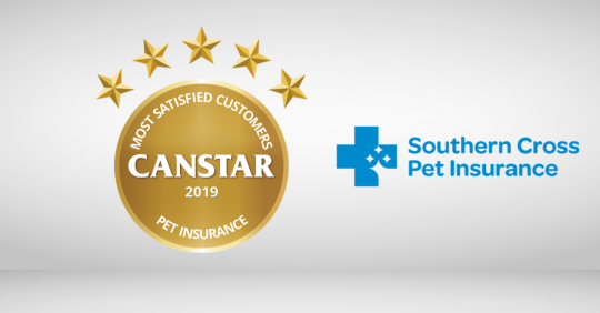 Southern Cross Pet Insurance wins a Canstar Most Satisfied Customers ...