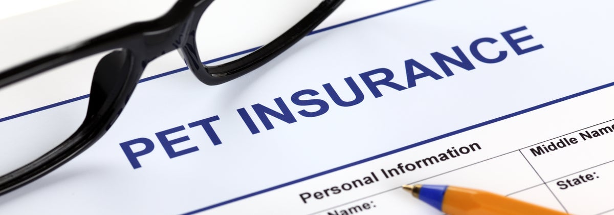 How Much Does Pet Insurance Cost? - Canstar