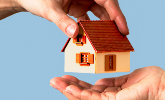 Home and Contents Insurance NZ | Canstar